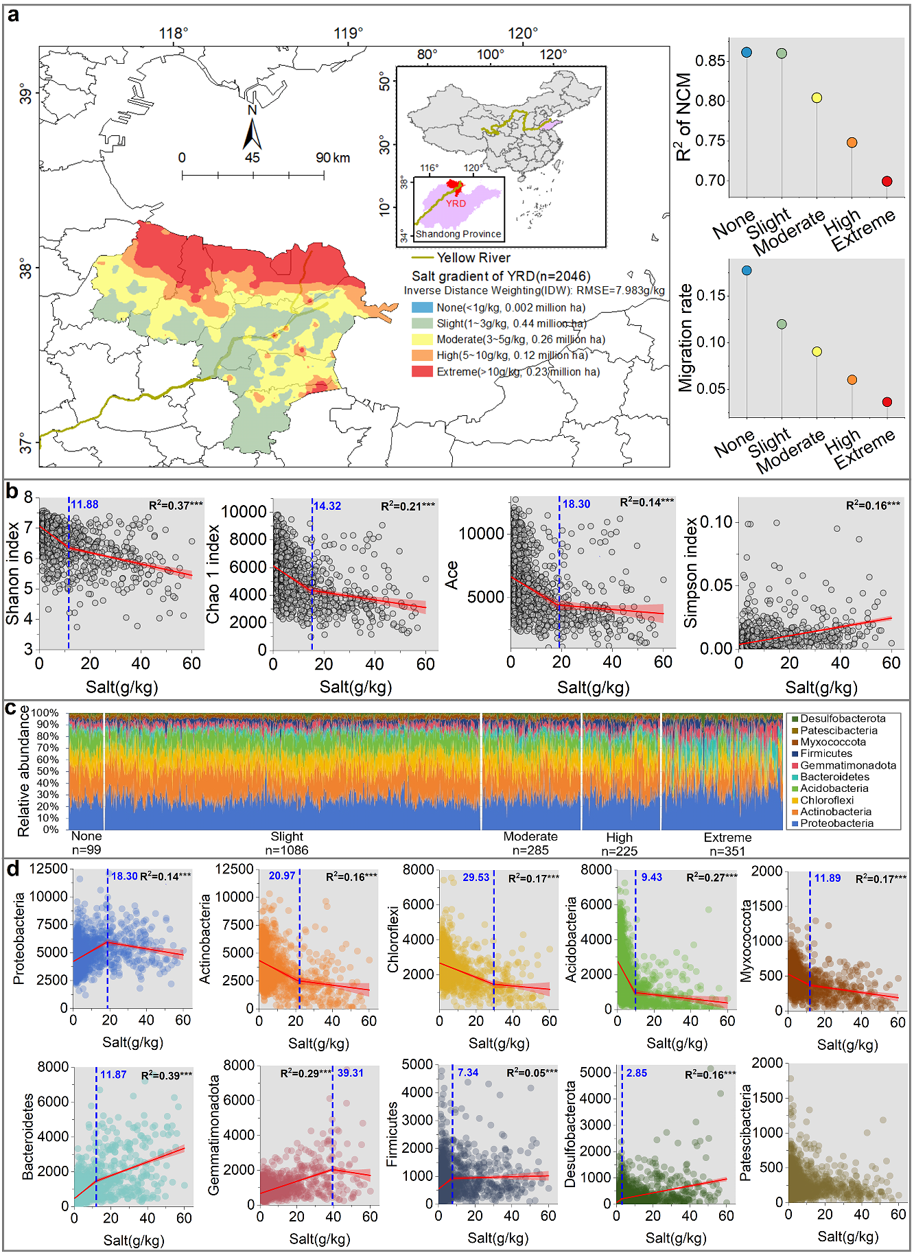 Global soil salinization: impacts on bacterial communities and nutrient ...