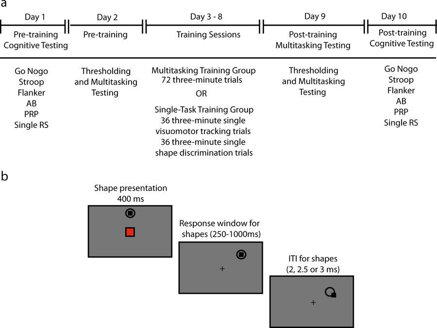 Editorial Summary—Dynamic, continuous multitasking training leads to task-specific improvements ...