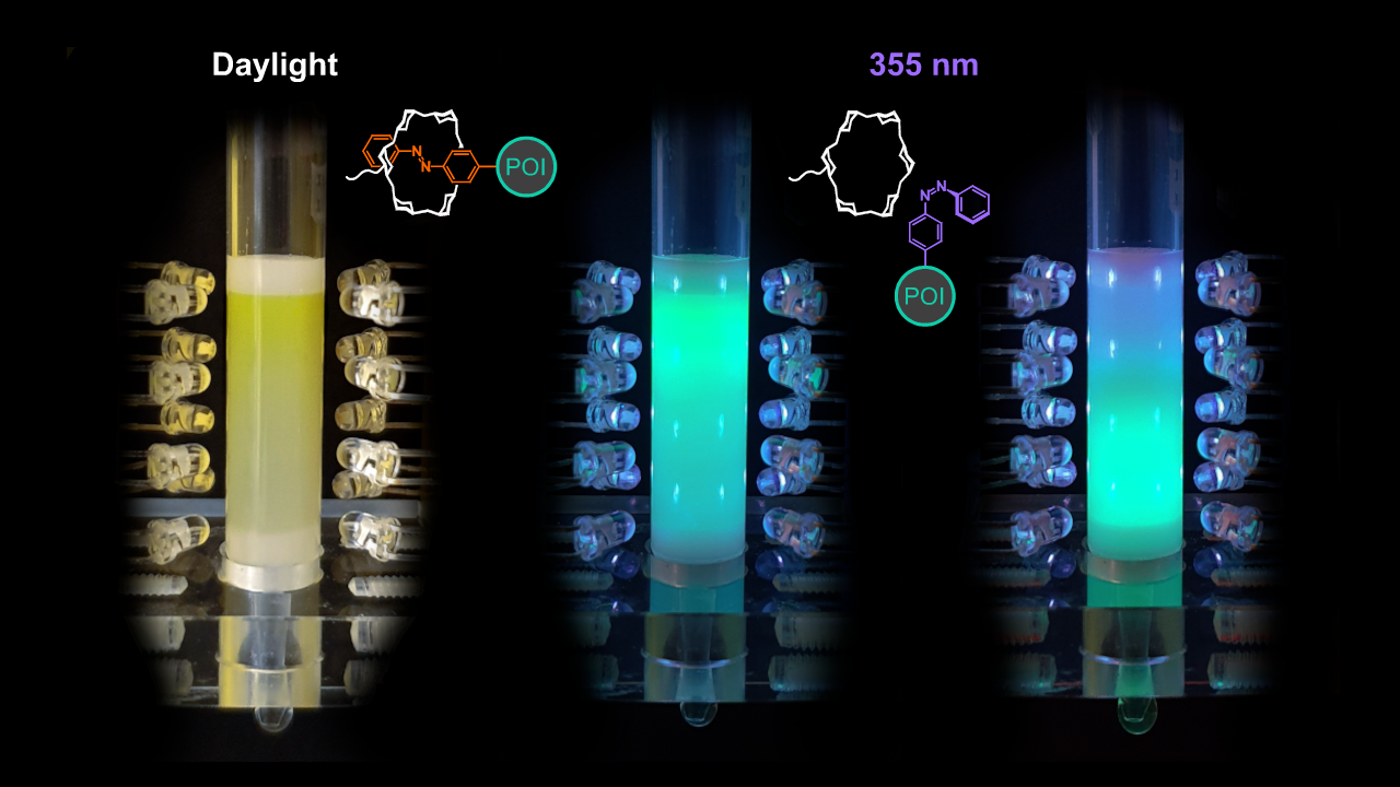 Protein purification with light – a revolution in affinity ...