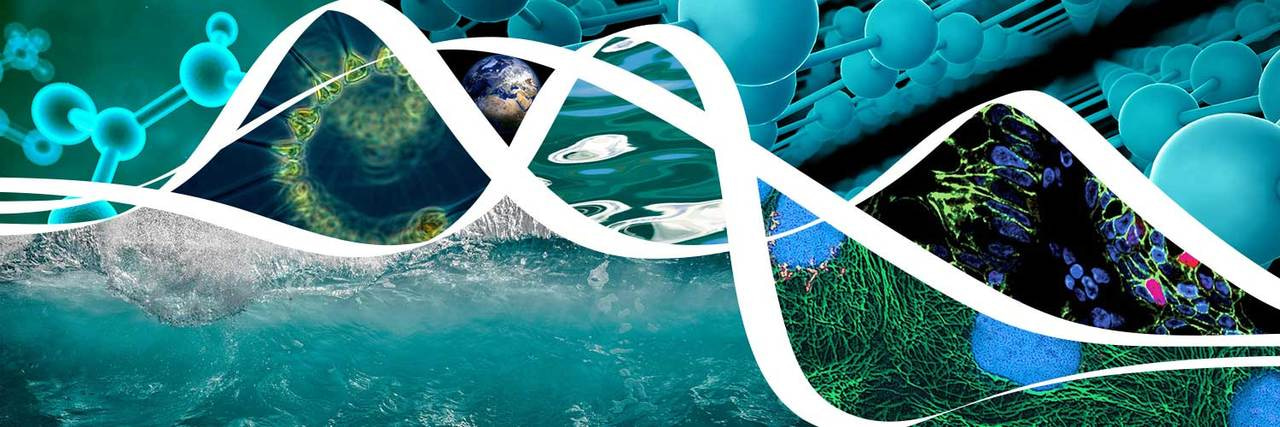 Video: What is the role of a Nature Communications editor? | Research ...