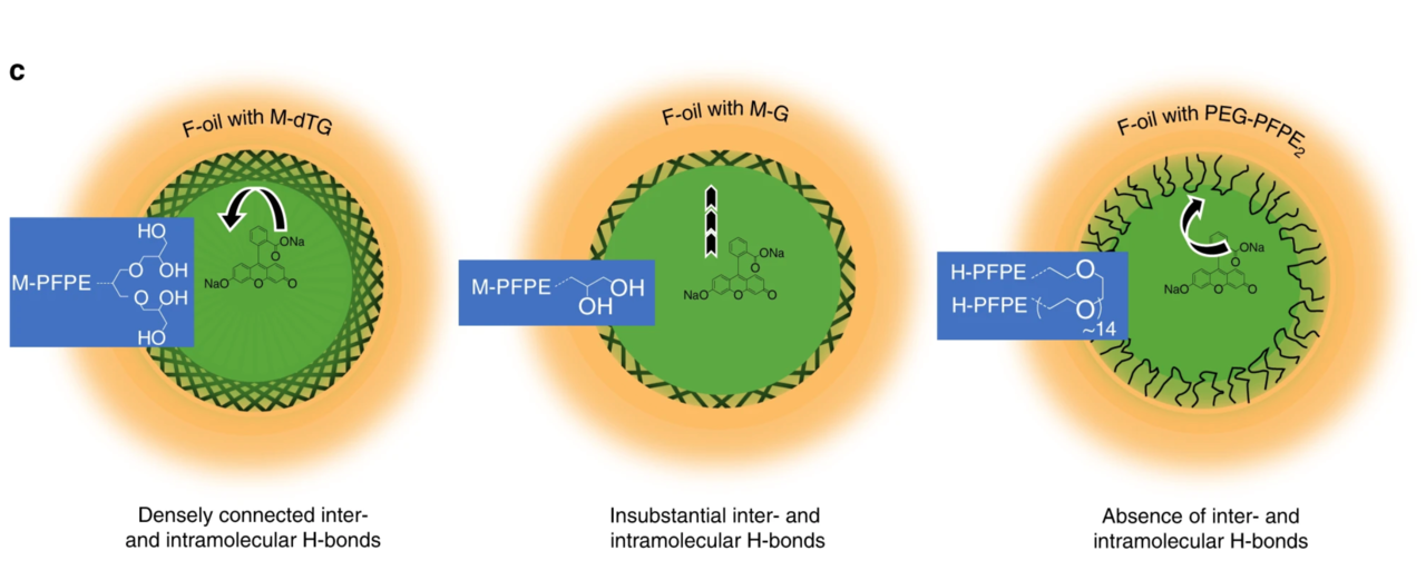 Micropatterned microfluidics: dendronized fluorosurfactants for highly ...