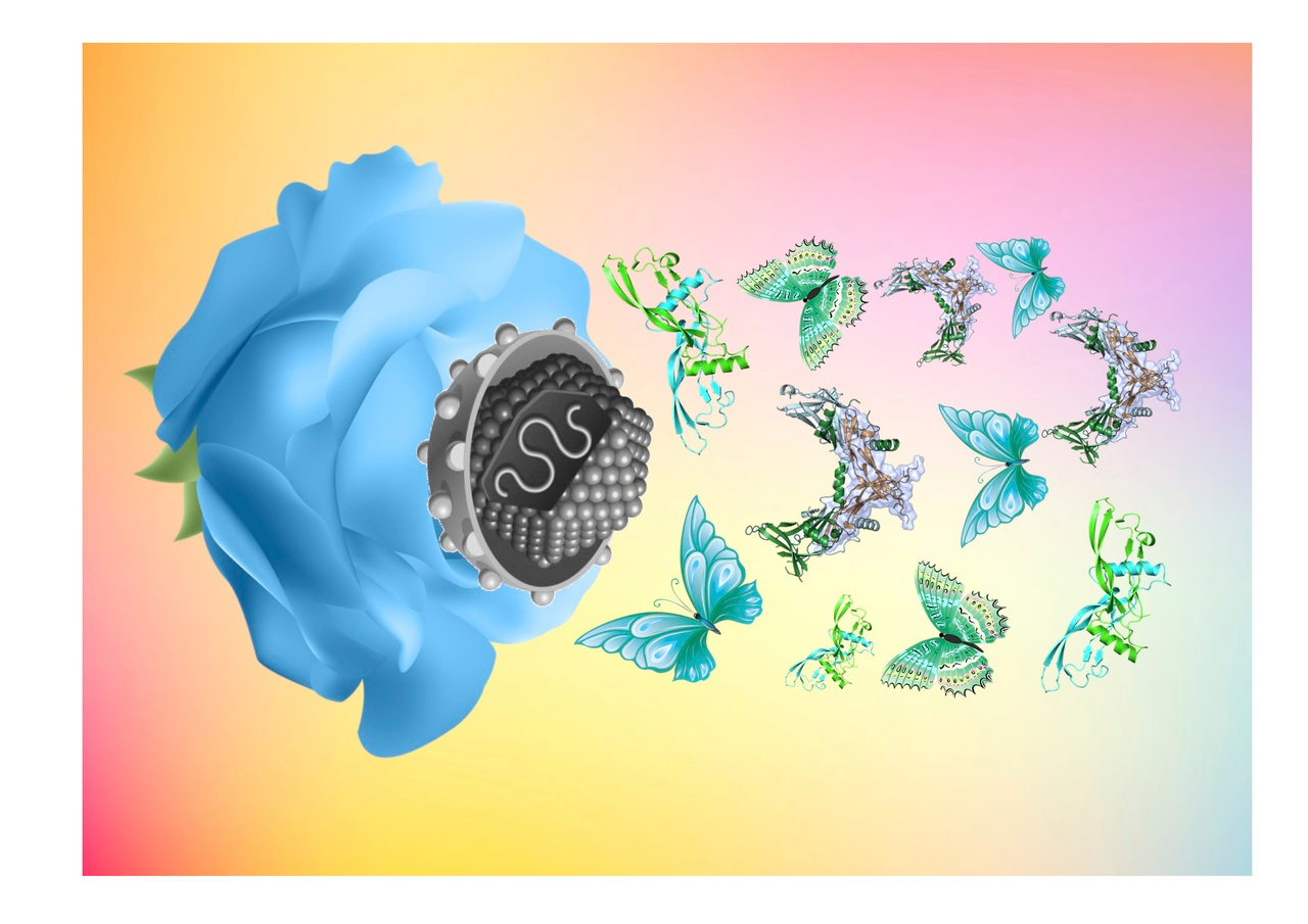 BMP-ing off viruses | Research Communities by Springer Nature