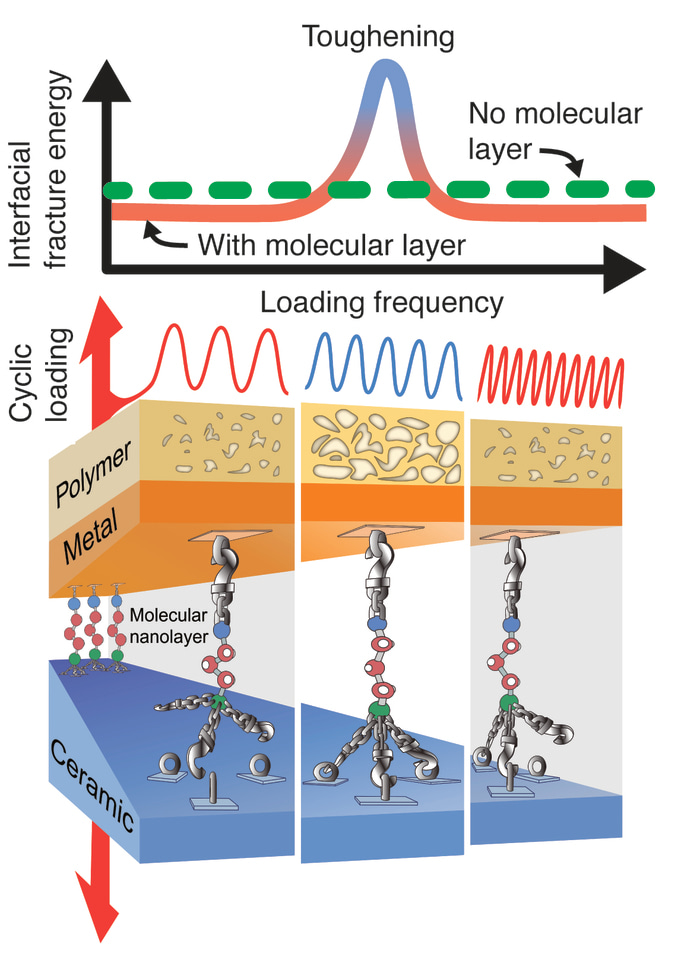 Frequency-tunable toughening in a polymer-metal-ceramic stack using an ...