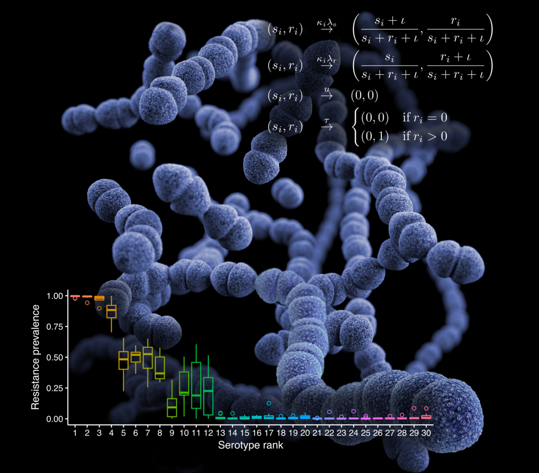 Modelling superbugs | Research Communities by Springer Nature