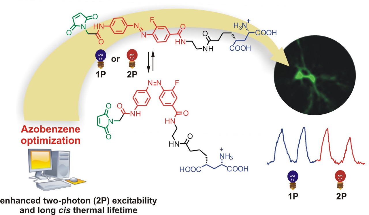 Pushing the near-infrared excitability of azobenzene photoswitches for ...