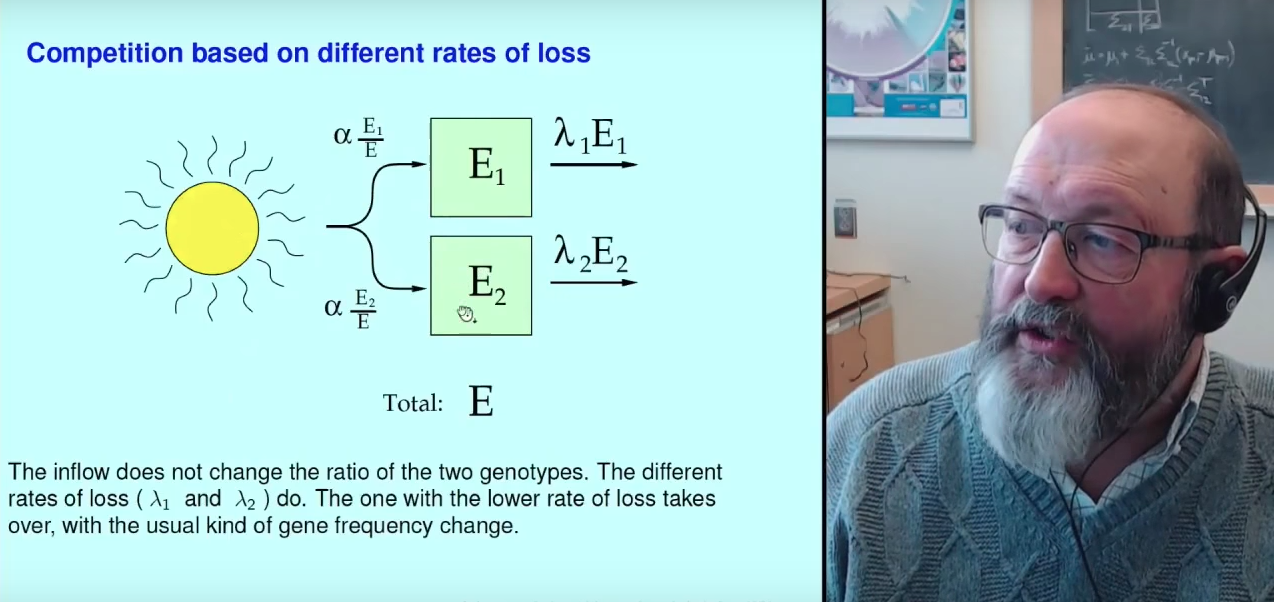A more fundamental theorem of natural selection? | Research Communities ...