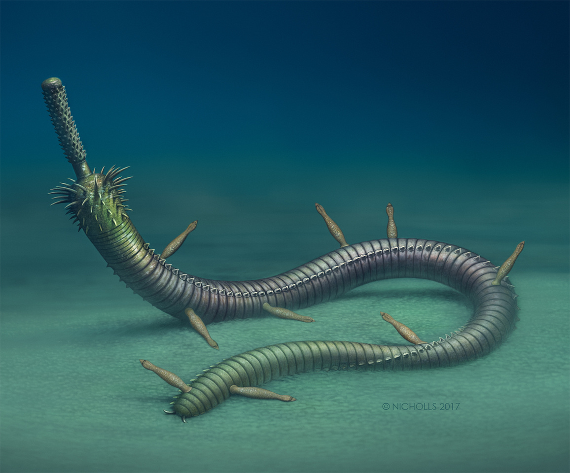 A Cambrian Can of Worms | Research Communities by Springer Nature