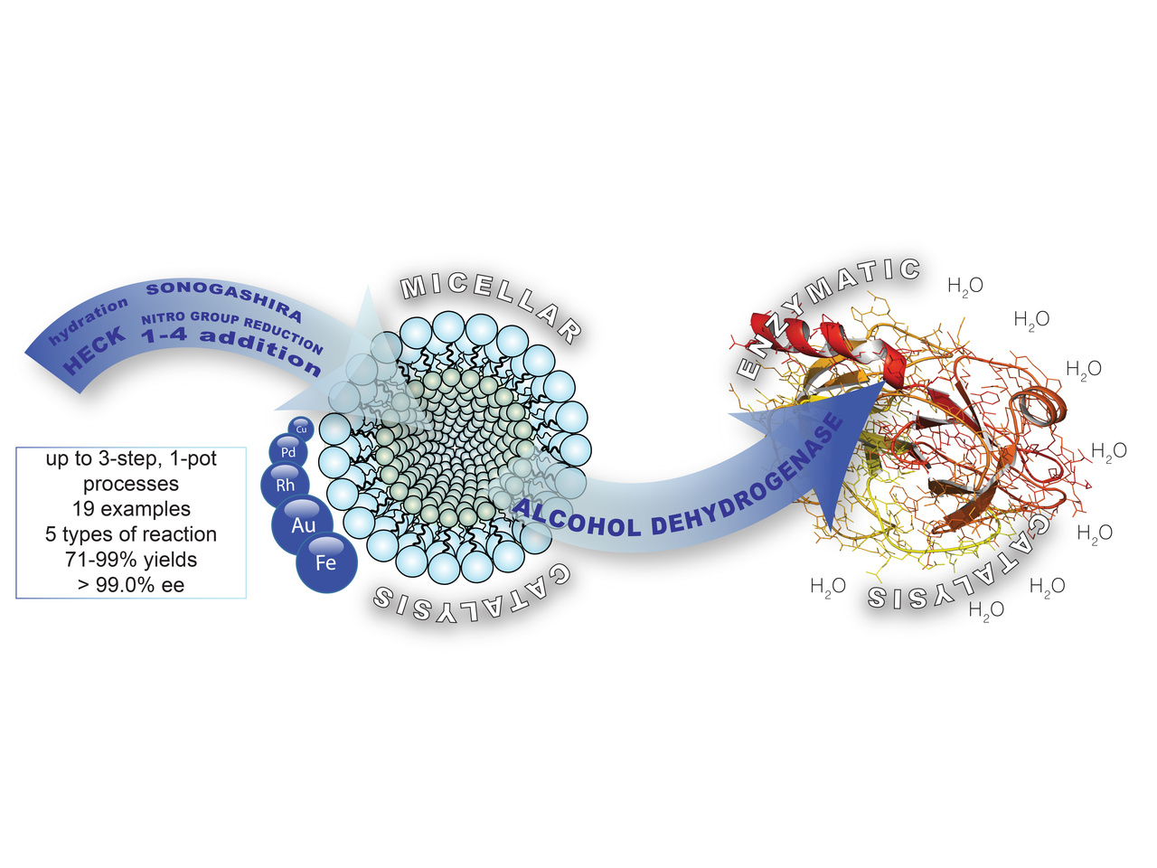 Bridging the gap between transition metal and bio-catalysis via aqueous ...