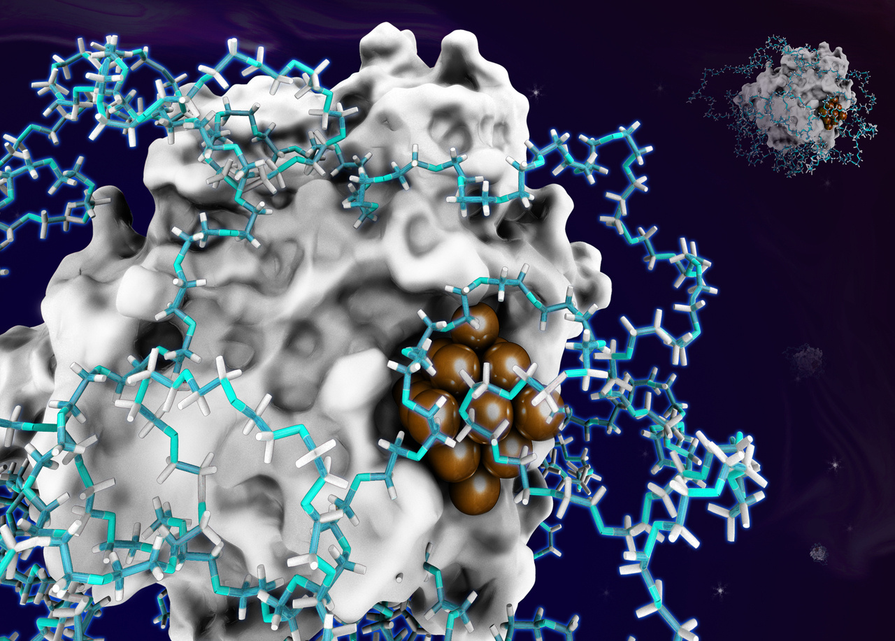 A Strategy for Preparation of Highly Active Enzyme-metal Hybrid ...