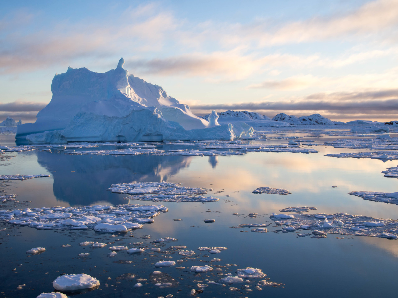 Evolutionary Ice Capades | Research Communities by Springer Nature