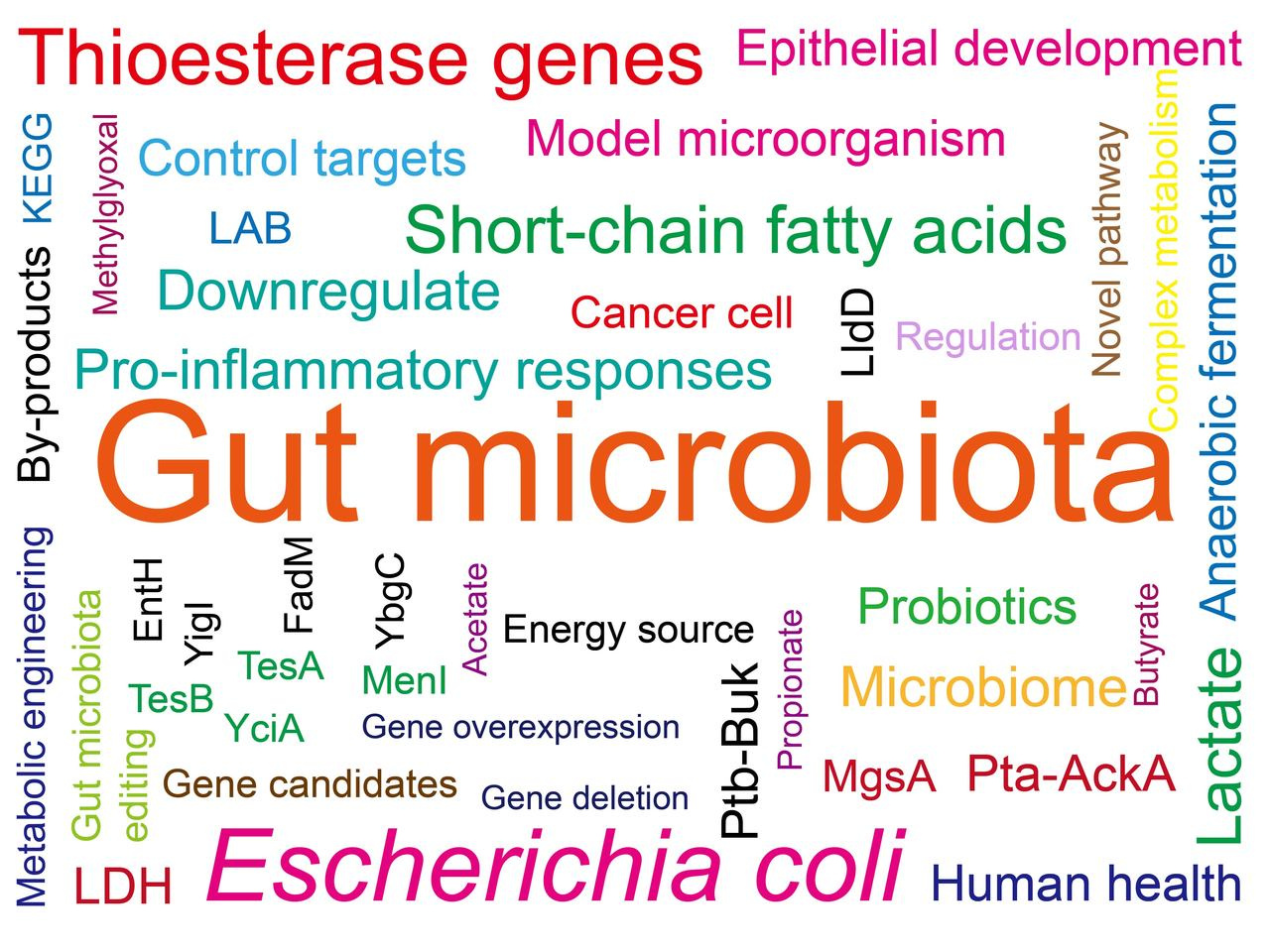 To discover more probiotics among gut microbiota | Research Communities ...