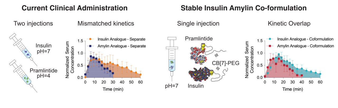 Enhancing Diabetes Treatment with a Biomimetic Co-formulation of ...