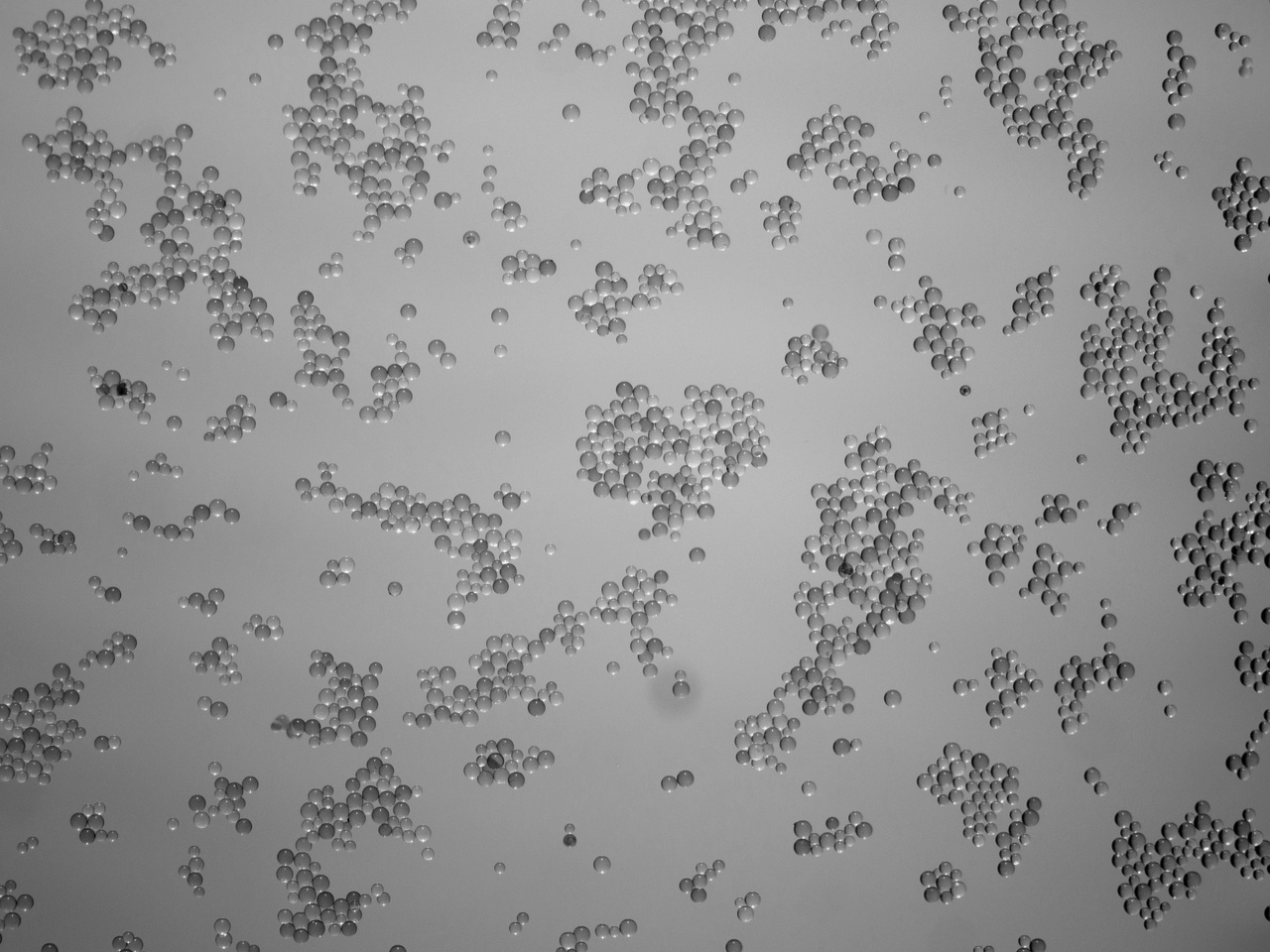 A first-principle mechanism for particulate aggregation and self ...