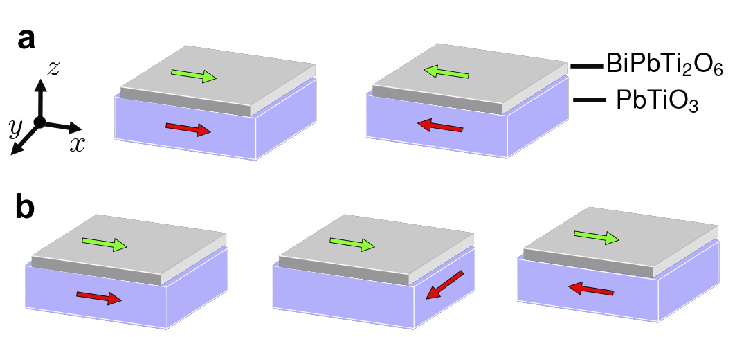 Design of a multifunctional polar metal via high-throughput structural ...