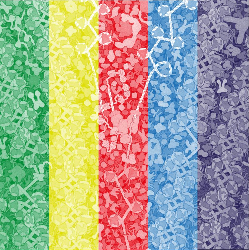 ChromID identifies the protein interactome at chromatin marks ...