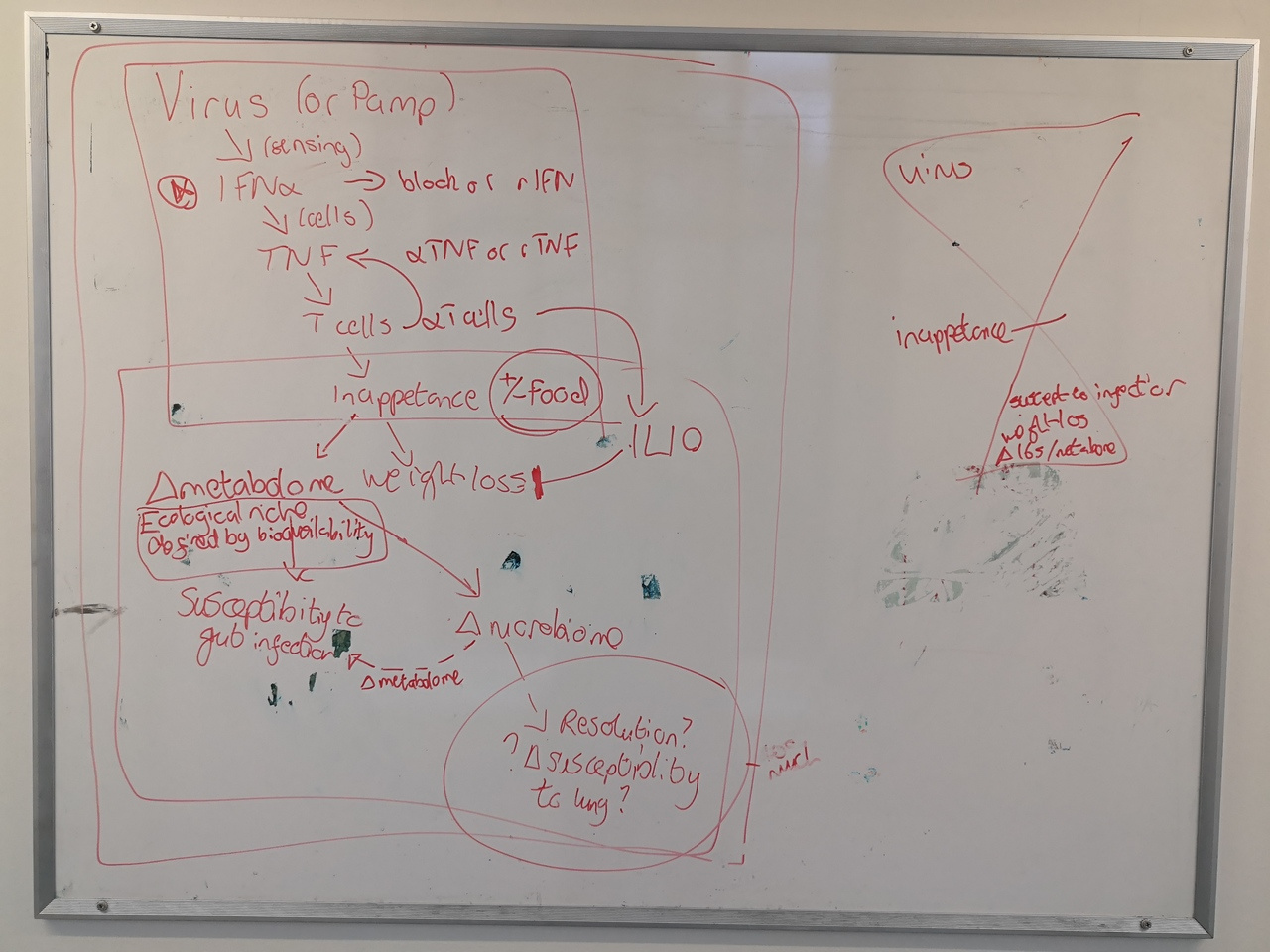 How does flu affect poo? | Research Communities by Springer Nature