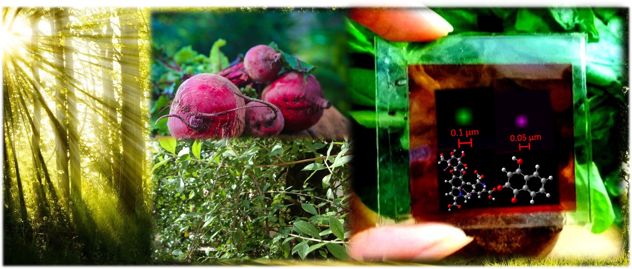 Solar cells from beetroot, henna, and nanosilver | Research Communities ...