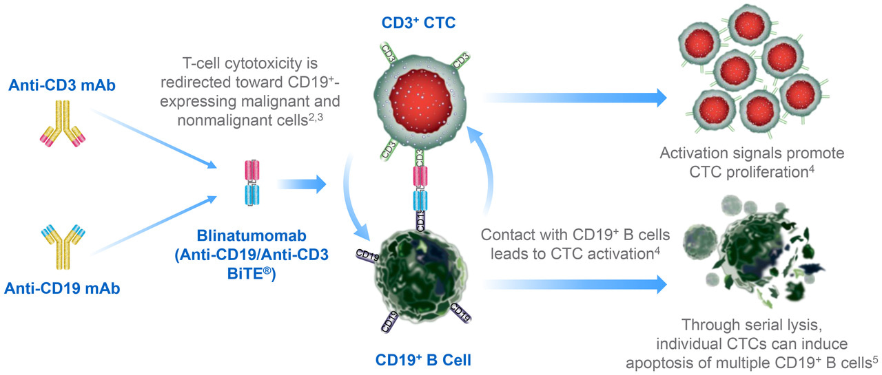 Blinatumomab in pediatric patients with relapsed/refractory acute ...