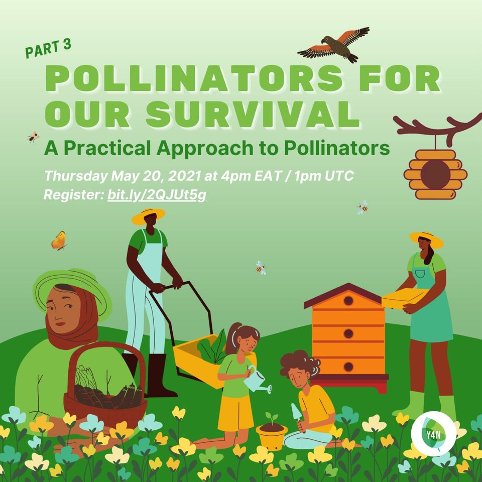 Pollinators for our survival | WildHub