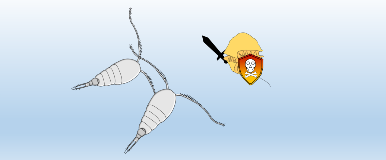 New insights into predator-induced dinoflagellate defenses | Research ...