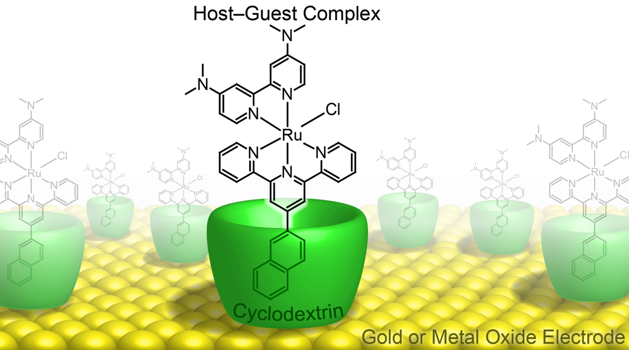 Immobilization of molecular catalysts on electrode surfaces using host ...
