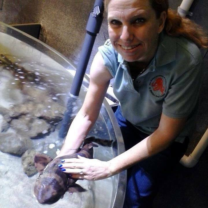 Hello, Kimberly, Aka Ama Bat Yam, back in town. | WildHub