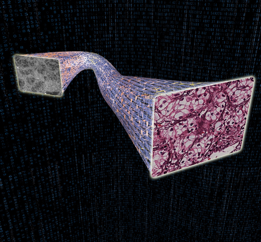 Deep learning-based virtual histology staining of unlabelled tissue ...