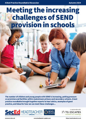 Effective SEND provision: Four key leadership roles | SEND Network