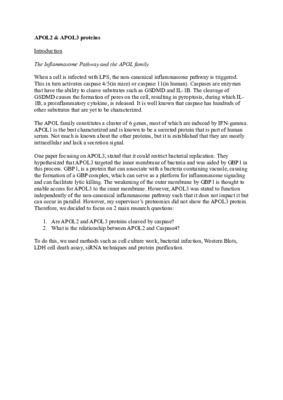 APOL2/APOL3 research poster | Laidlaw Scholars Network