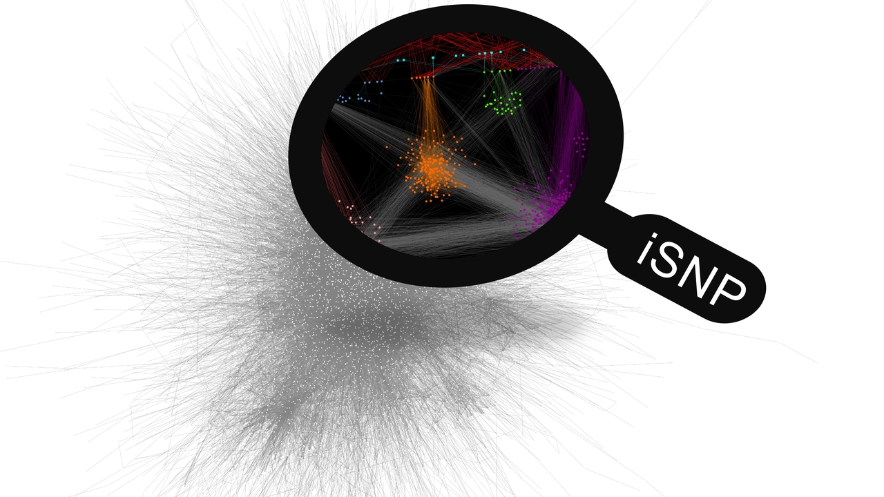 Investigating the hidden genomic background of complex diseases: the ...