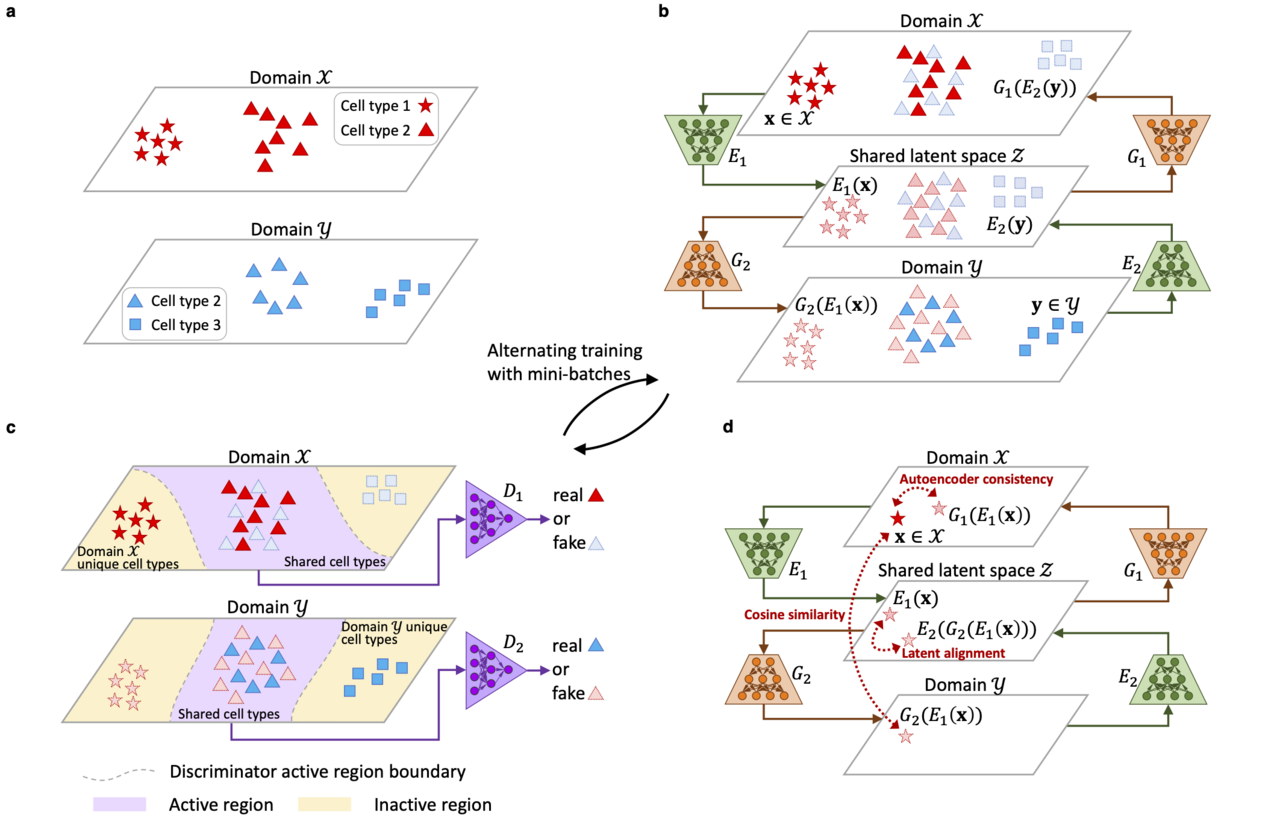 Adversarial domain translation networks for integrating large-scale ...