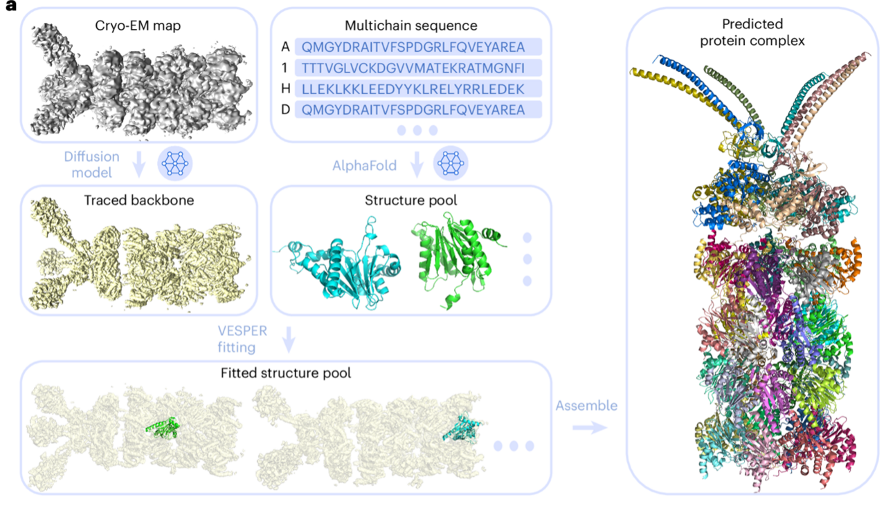 DiffModeler: large macromolecular structure modeling for cryo-EM maps using a diffusion model ...