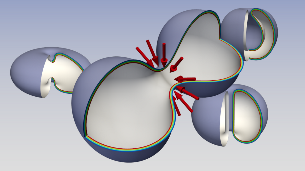 Activation energy and force fields during topological transitions of ...