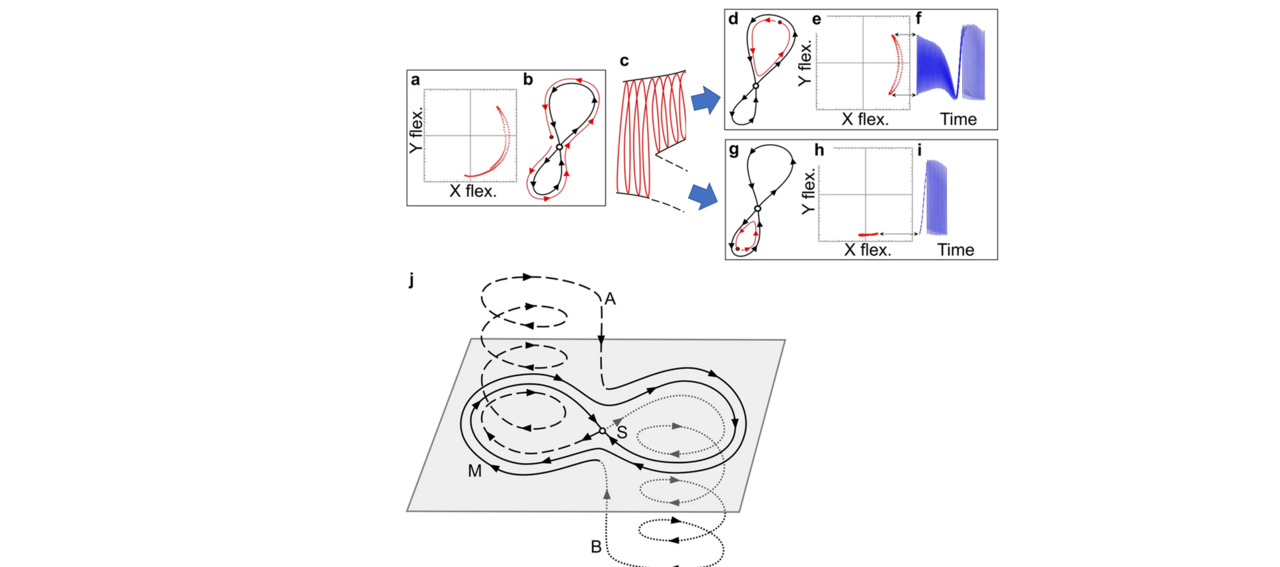 Controllable branching of robust response patterns in nonlinear ...