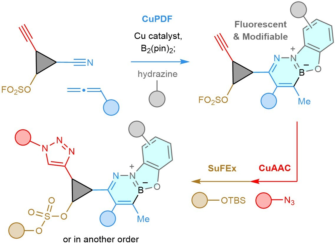 Click Processes Involving Nitriles and Allenes are Orthogonal to CuAAC and SuFEx and Generate ...