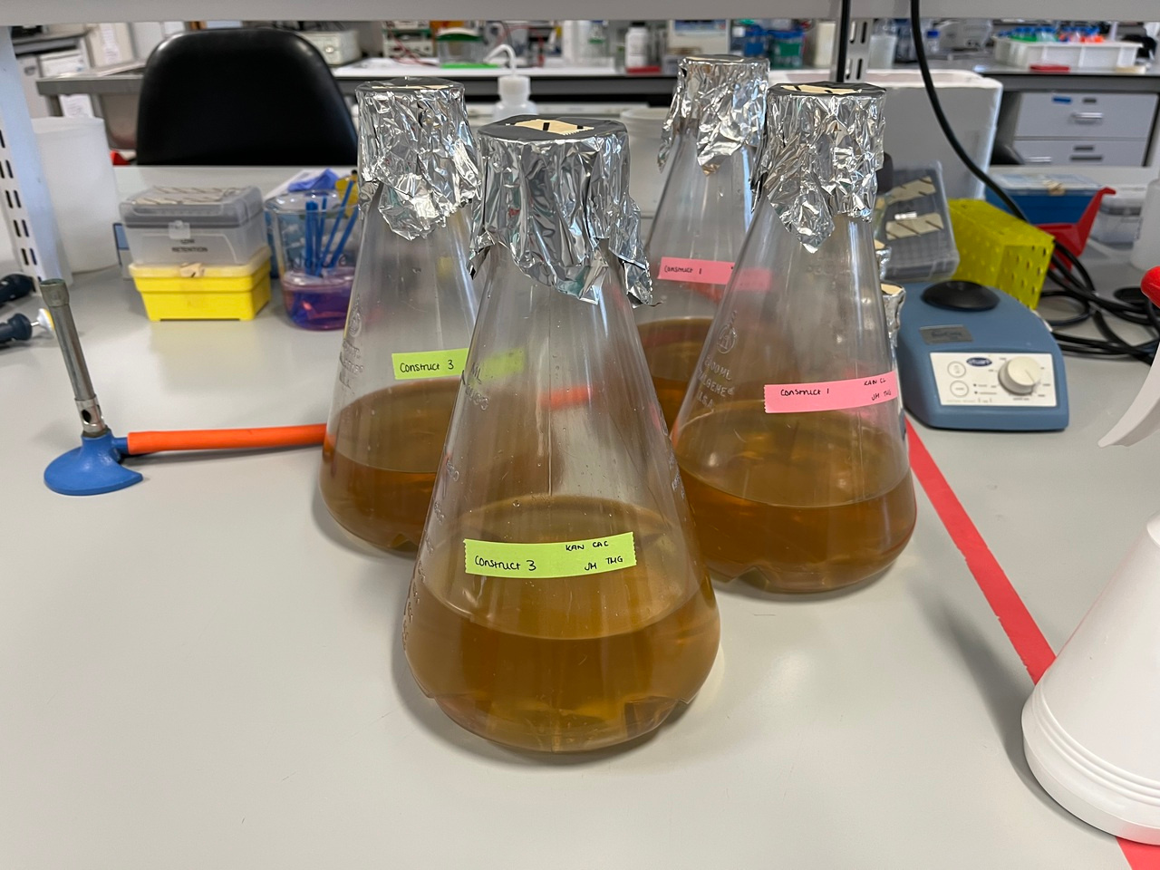 Trials and tribulations of life in a laboratory | Laidlaw Scholars Network