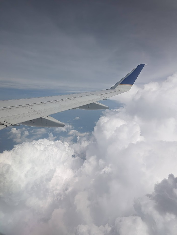 A Heartfelt Comedic Timeline of my Internal Thoughts | Laidlaw Scholars ...