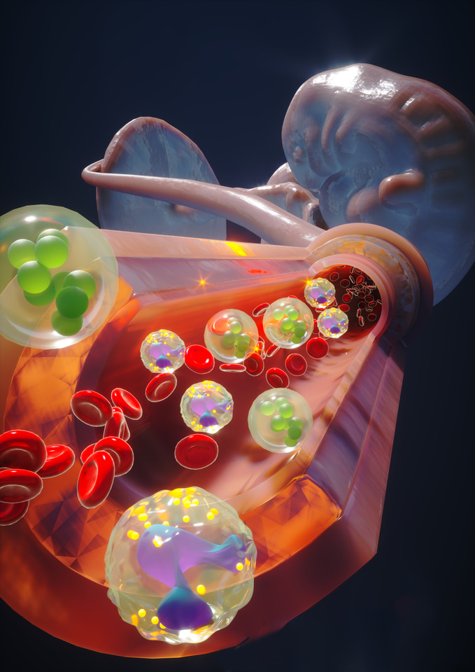 Organoids meet single-cell and spatial omics | Research Communities by ...