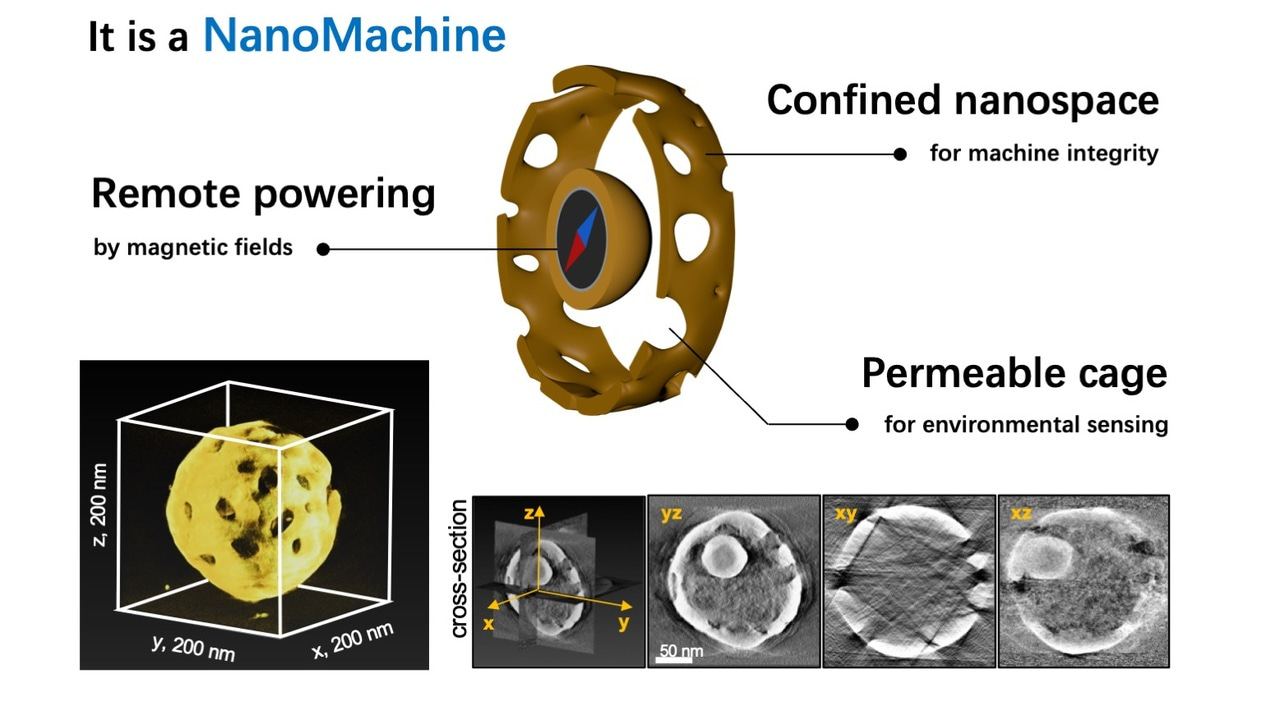 Controlling the force in nanomotors | Research Communities by Springer ...