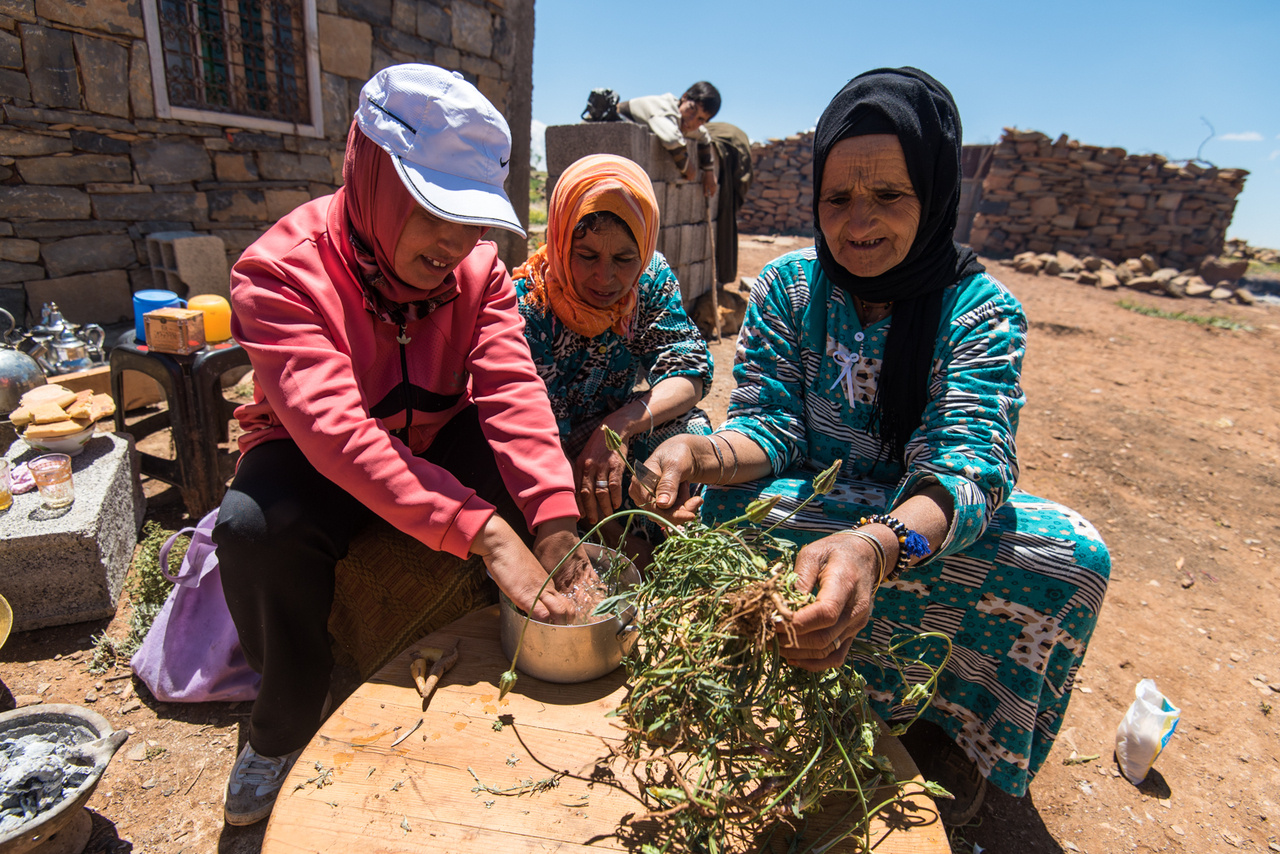 The power of indigenous community led conservation | WildHub