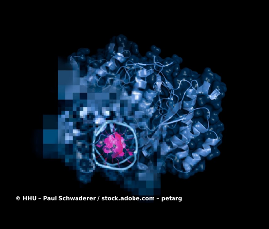 ESP: A Machine Learning Model for the Prediction of the Substrates of ...