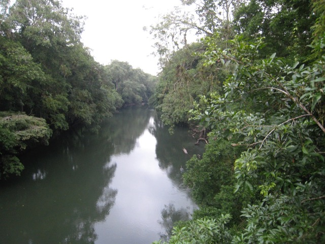 Might clay formation prolong global warming events? | Research ...