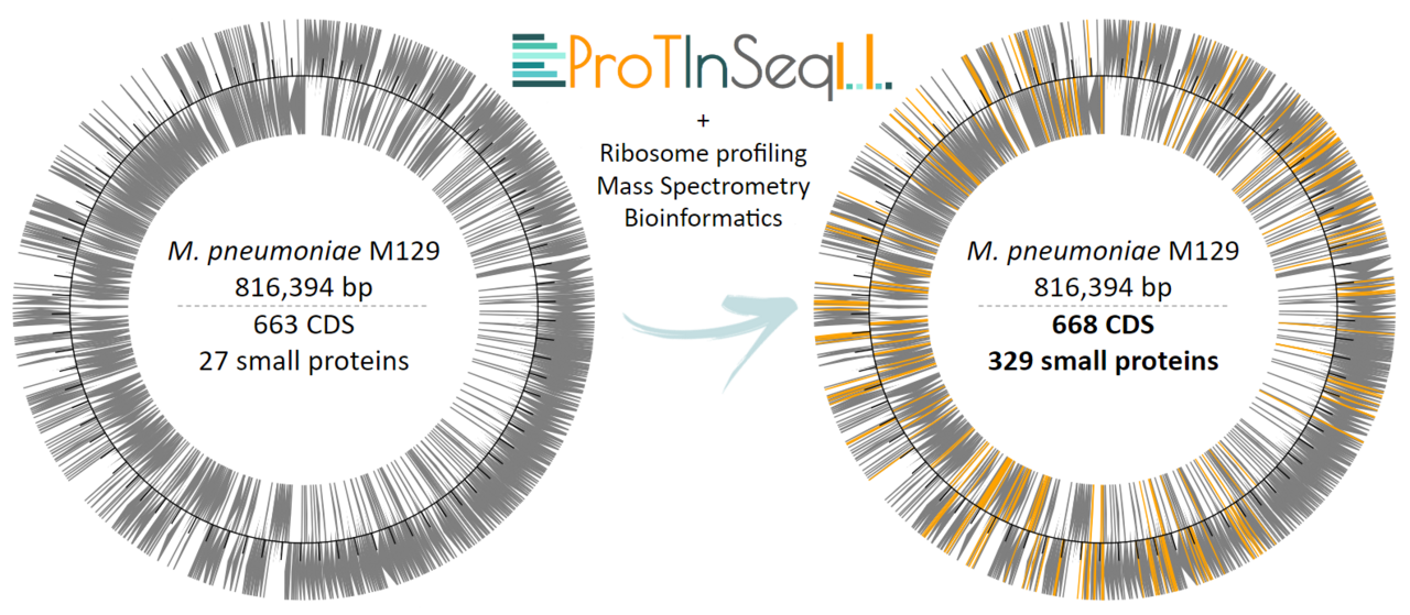 From hundreds to thousands of genes: new advances in identifying small ...