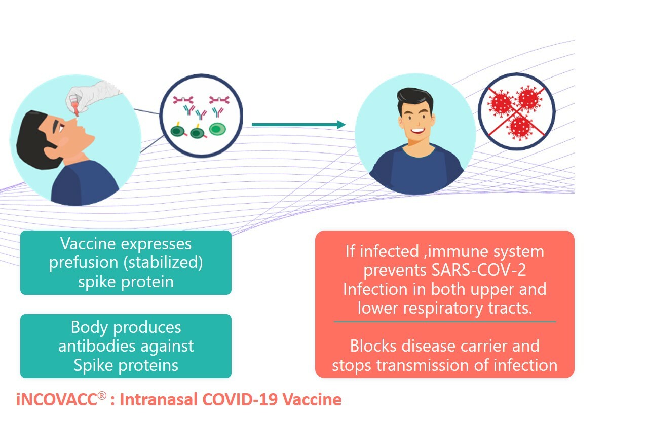Phase III Pivotal comparative clinical trial of intranasal (iNCOVACC ...