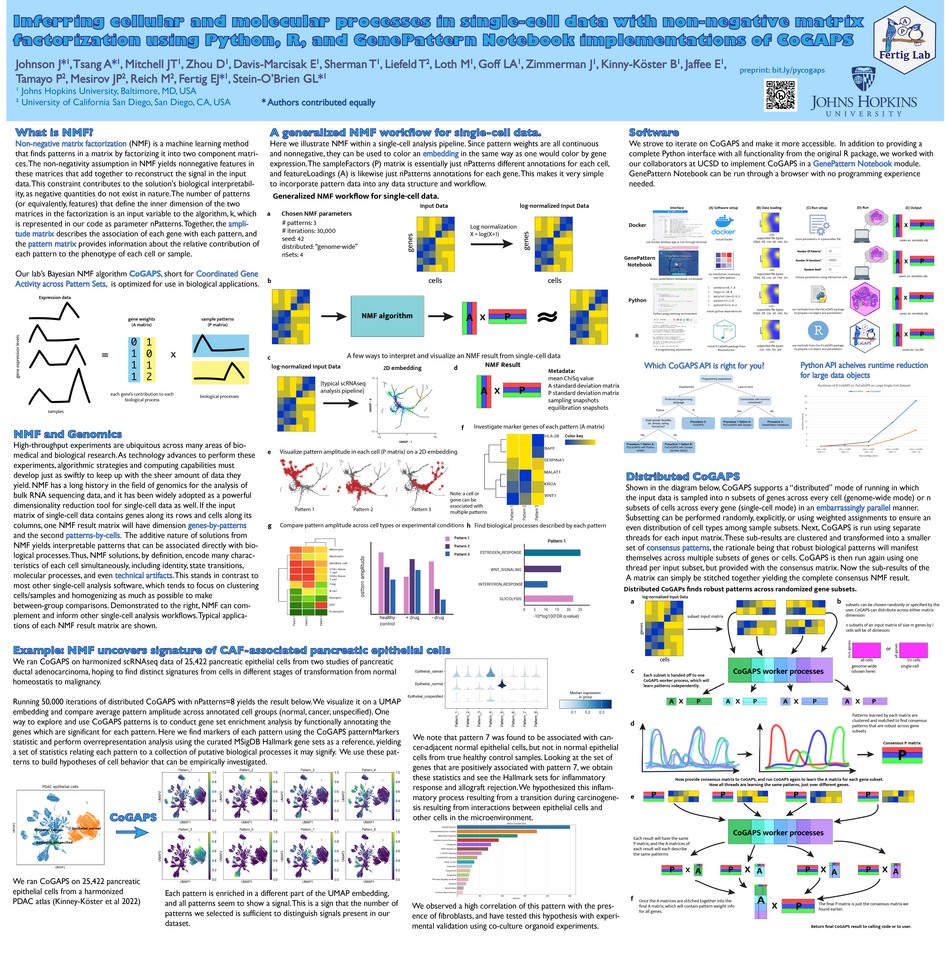 Machine learning for every cell | Research Communities by Springer Nature