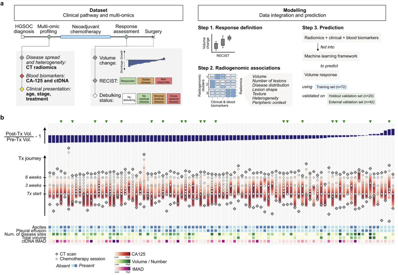 Prediction of response to neoadjuvant chemotherapy in ovarian cancer ...