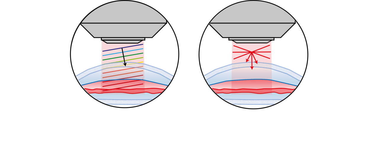 A paradigm shift for 3D optical imaging of biological tissues ...