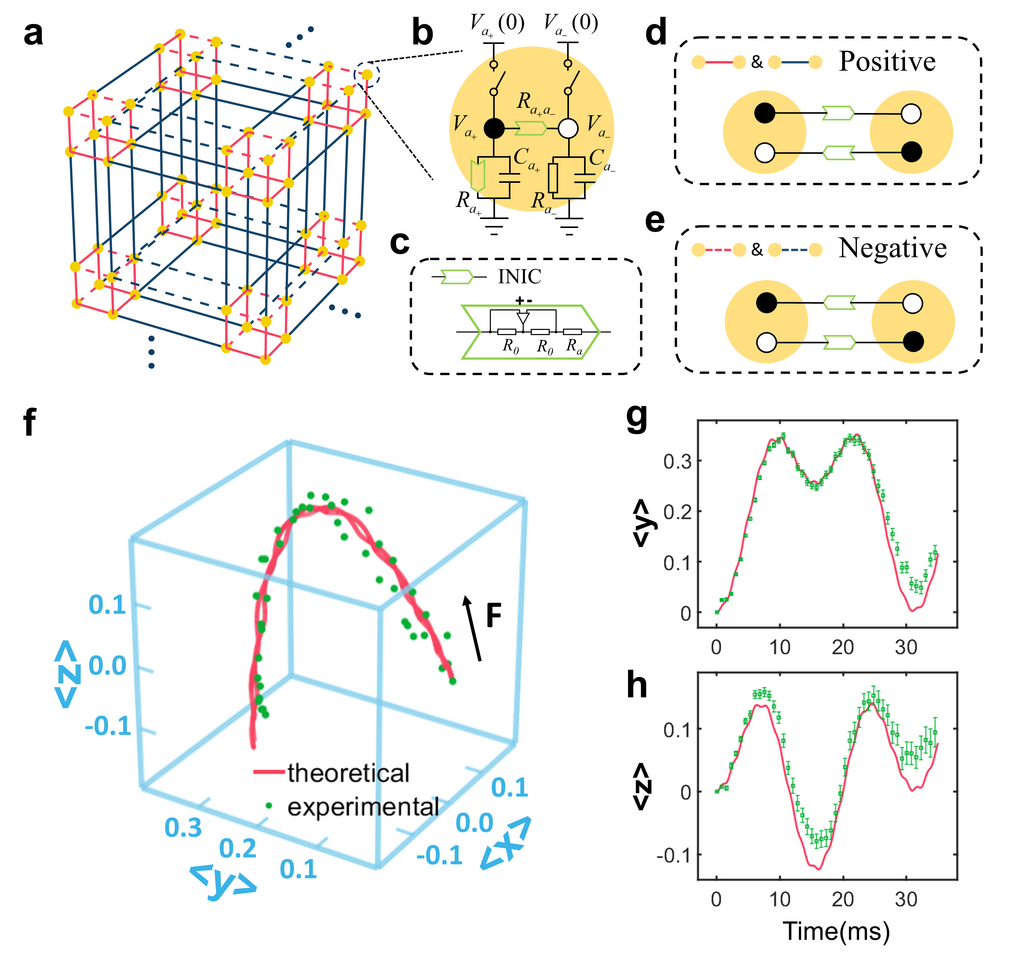 Three-dimensional non-Abelian Bloch oscillations and higher-order ...