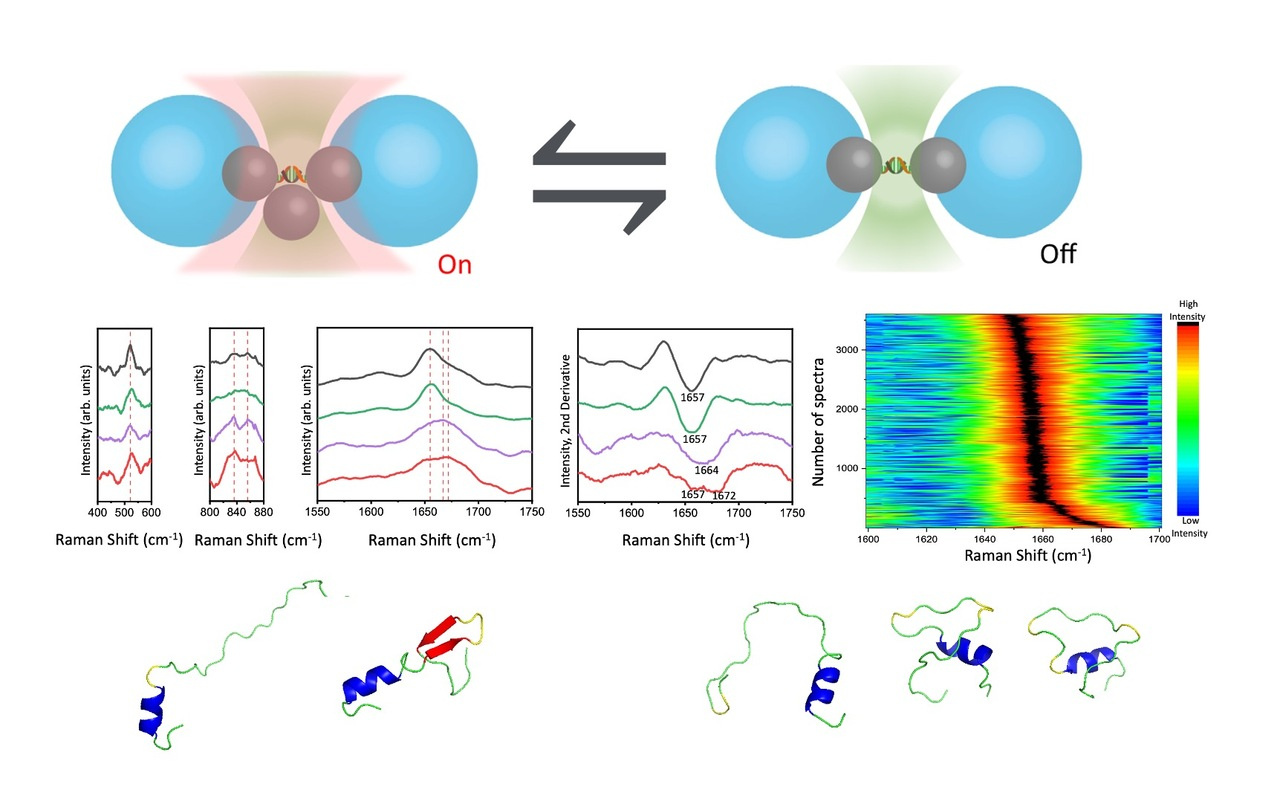 Efficient Optical Plasmonic Tweezer Controlled Single Molecule Sers Characterization Of Ph