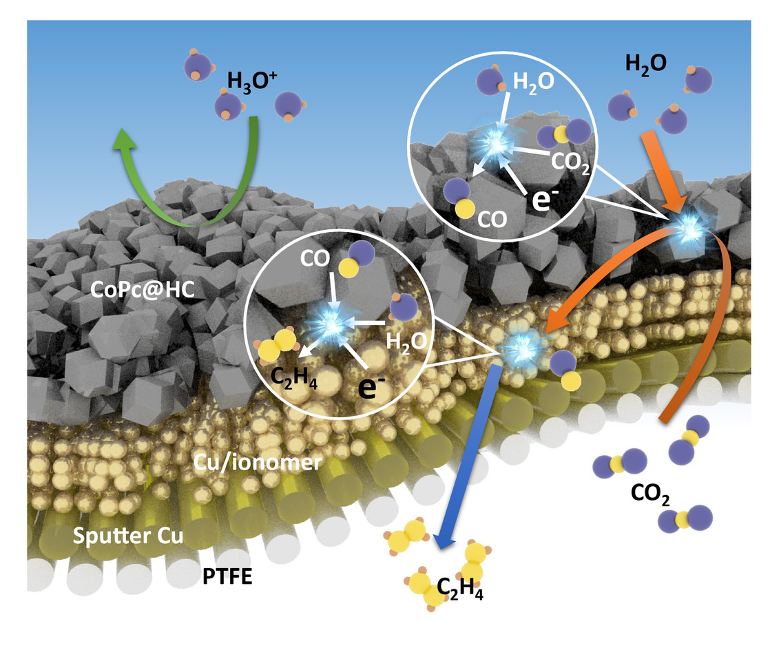 Tandem catalysis enables energy- and carbon-efficient CO2 electroreduction to multicarbon ...